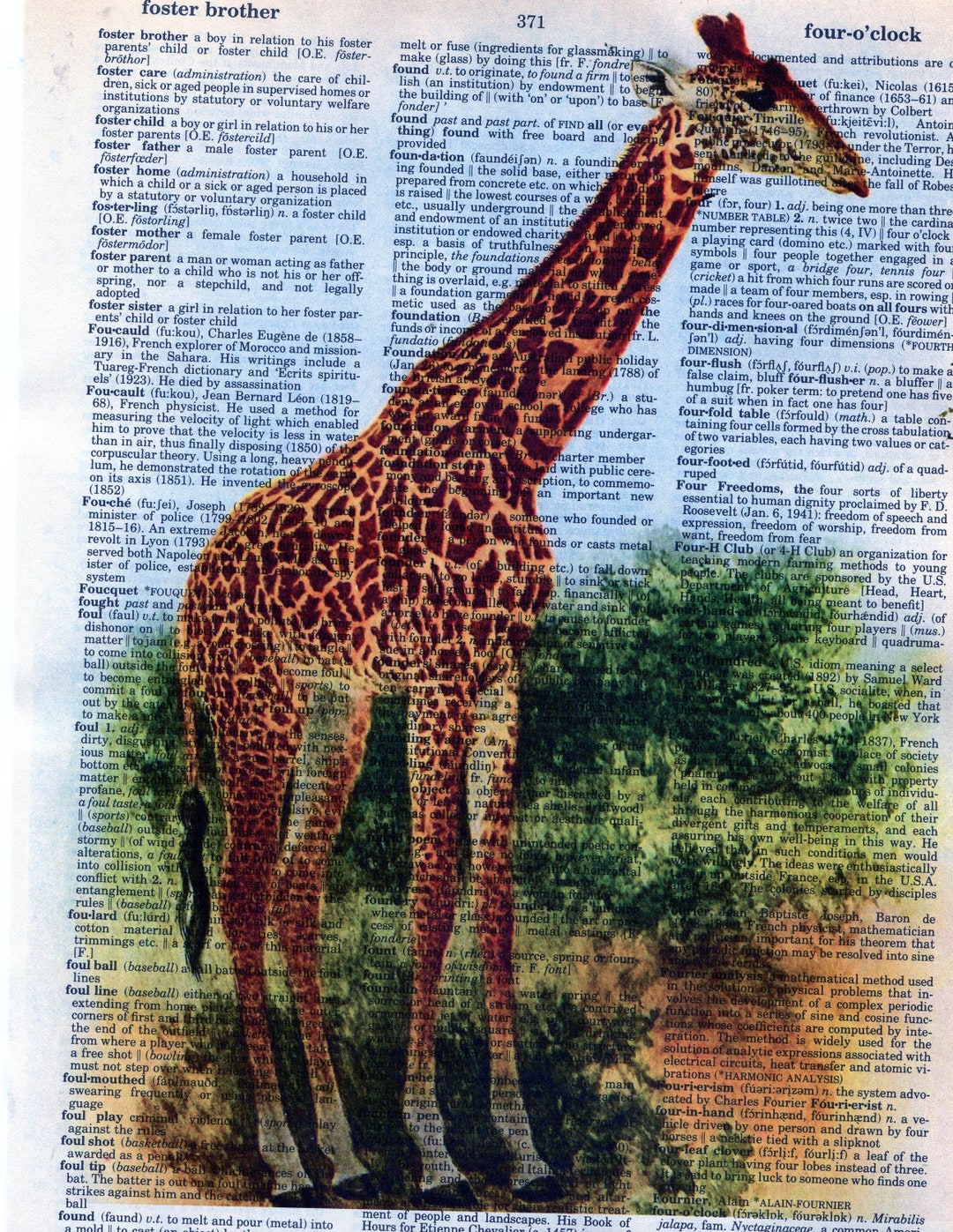 Giraffe Dictionary Art Print - Etsy