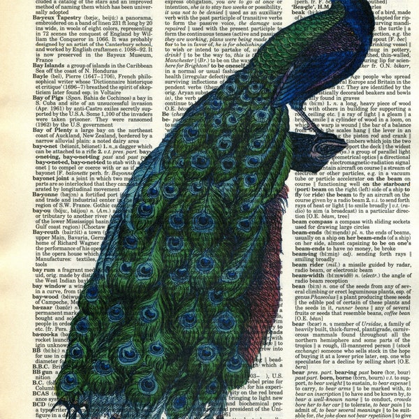 Dictionary Art Print - Etsy