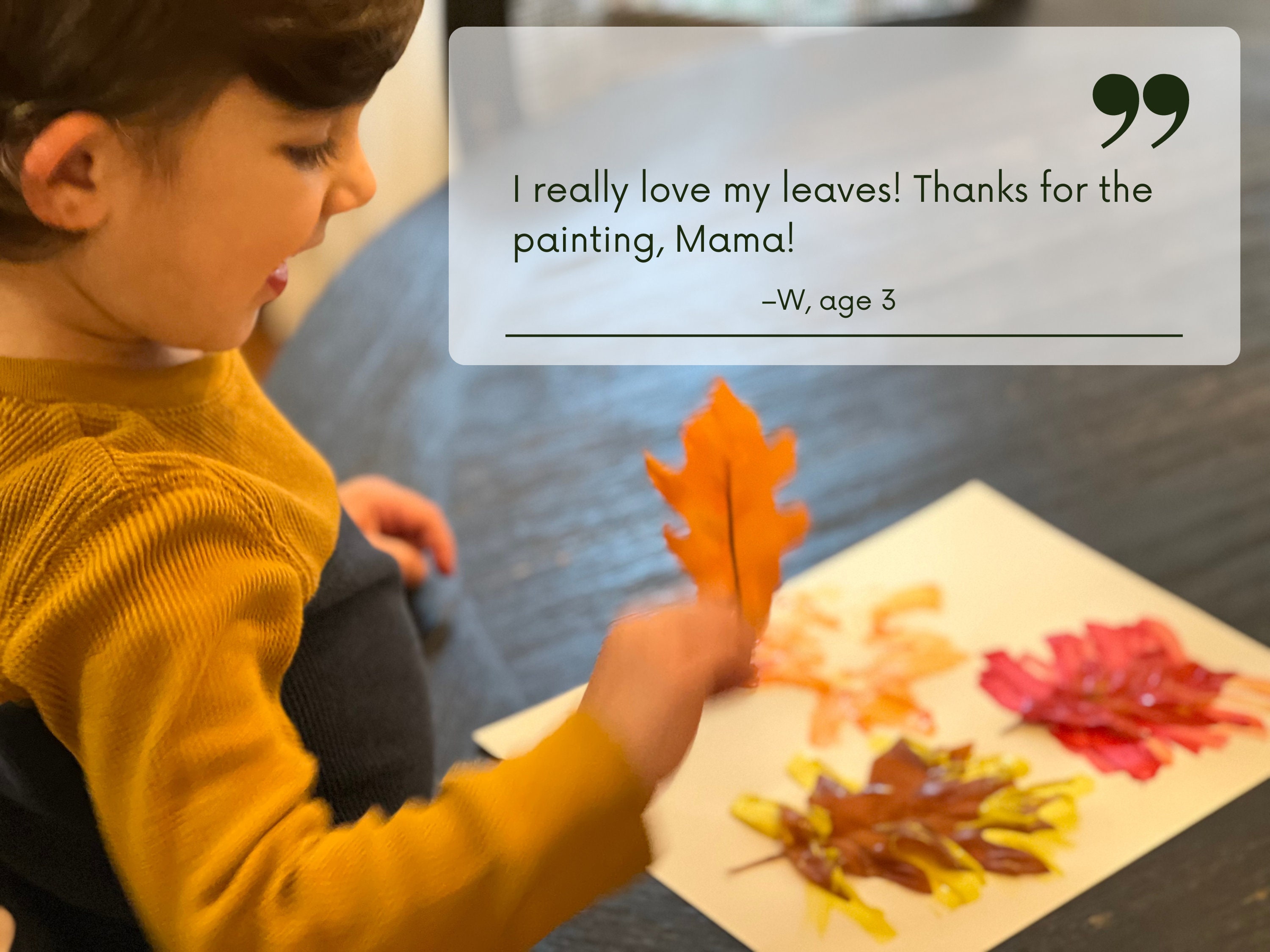 Fletcher and the Falling Leaves Book & Activity Kit–fall Craft for ...