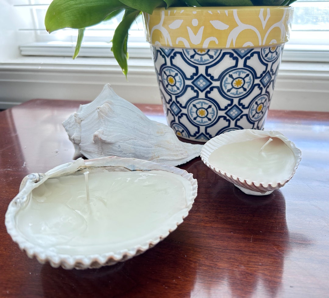 Handmade Shell Candles - Etsy
