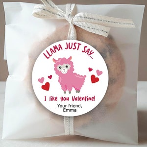 Llama Valentine Stickers for Kids, Personalized Valentine Labels for ...
