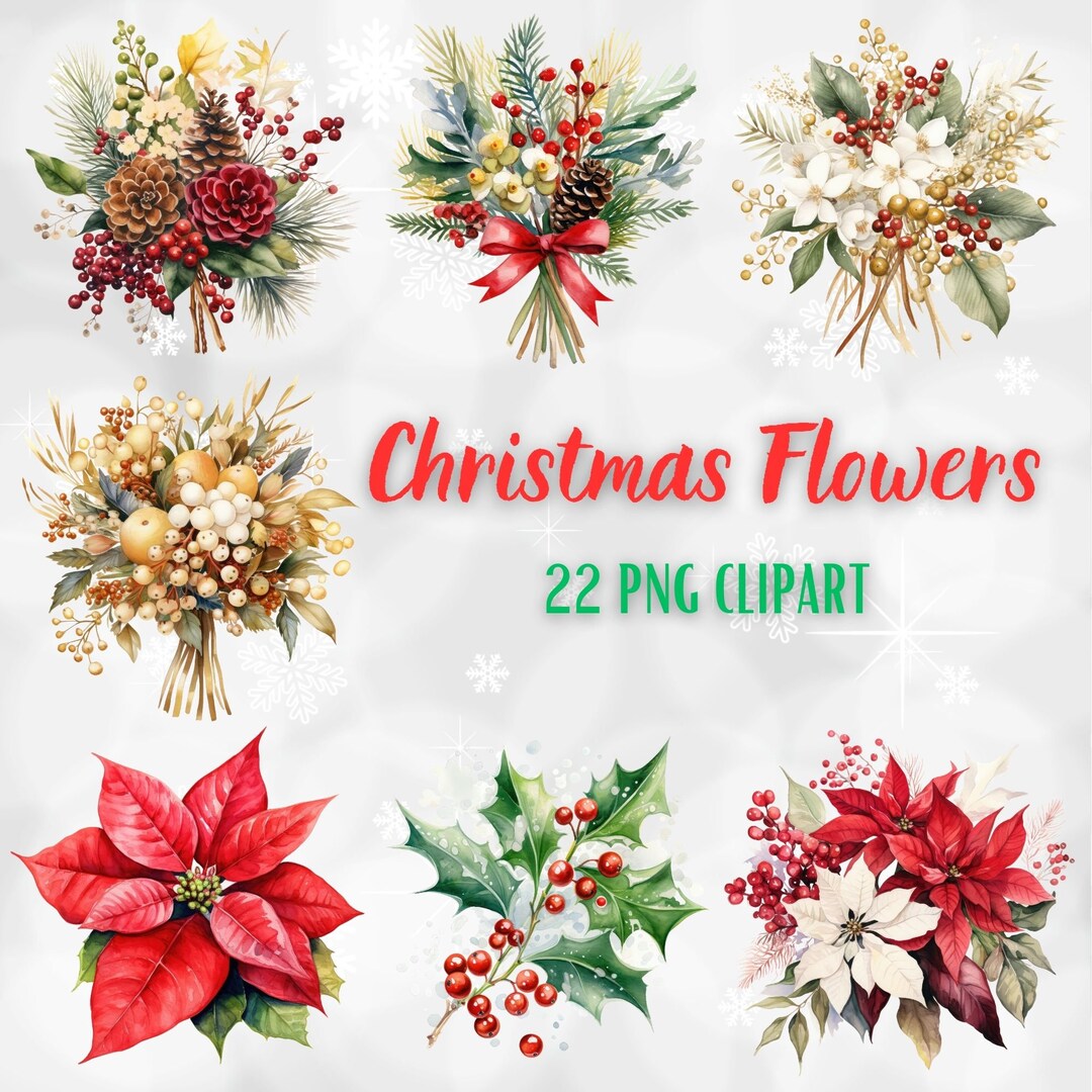 Christmas Flowers Clipart Bundle, 22 PNG Graphics, Creative ...