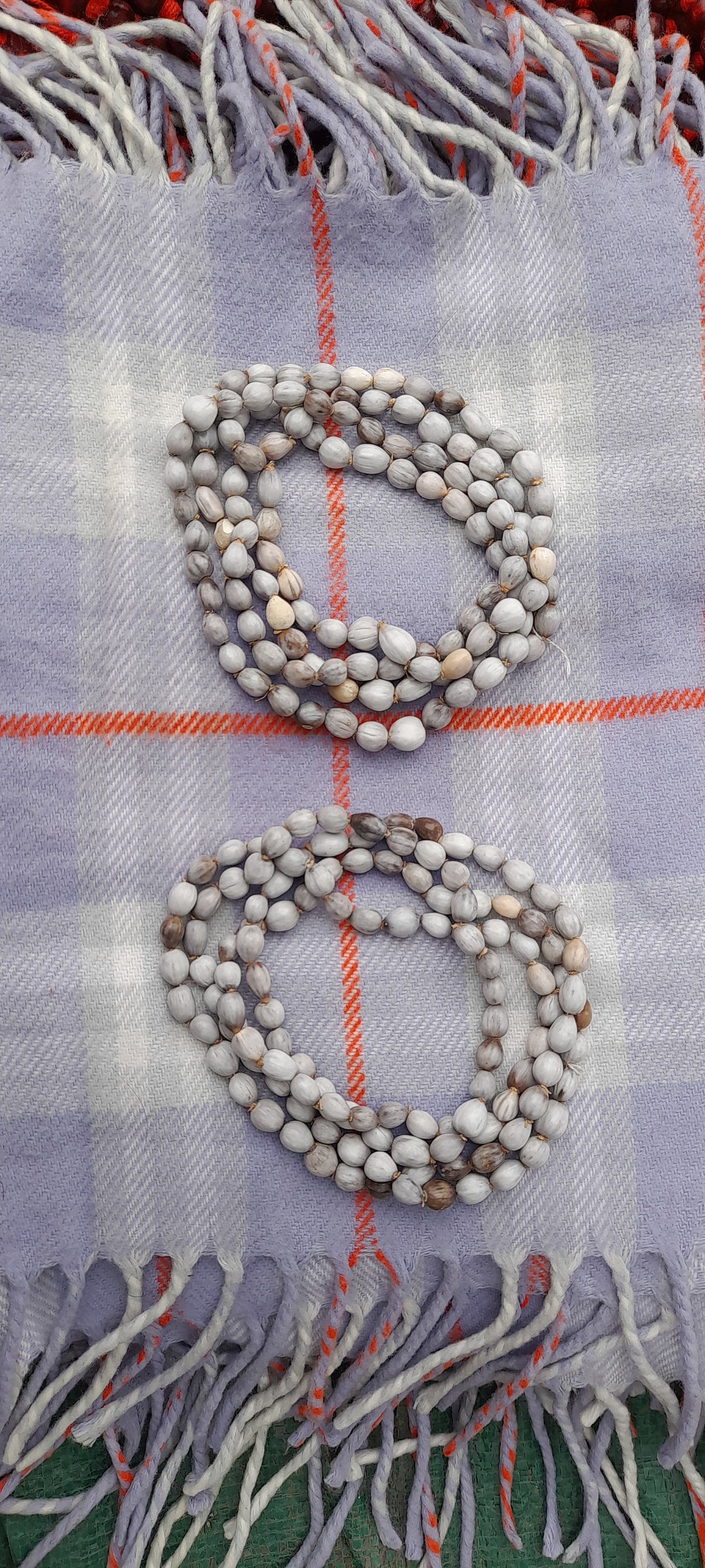 Set of 2 Vaijayanti Mala Seeds Vaijayanti Mantra Chanting Shanti Vijay ...