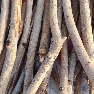 Peepal Wood Hawan Wood Ancient Rishimuni Hawan Wood 12 Inch/31 Cm ...