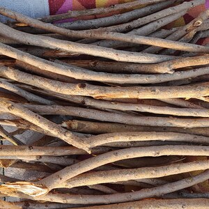 Peepal Wood Hawan Wood Ancient Rishimuni Hawan Wood 12 Inch/31 Cm ...