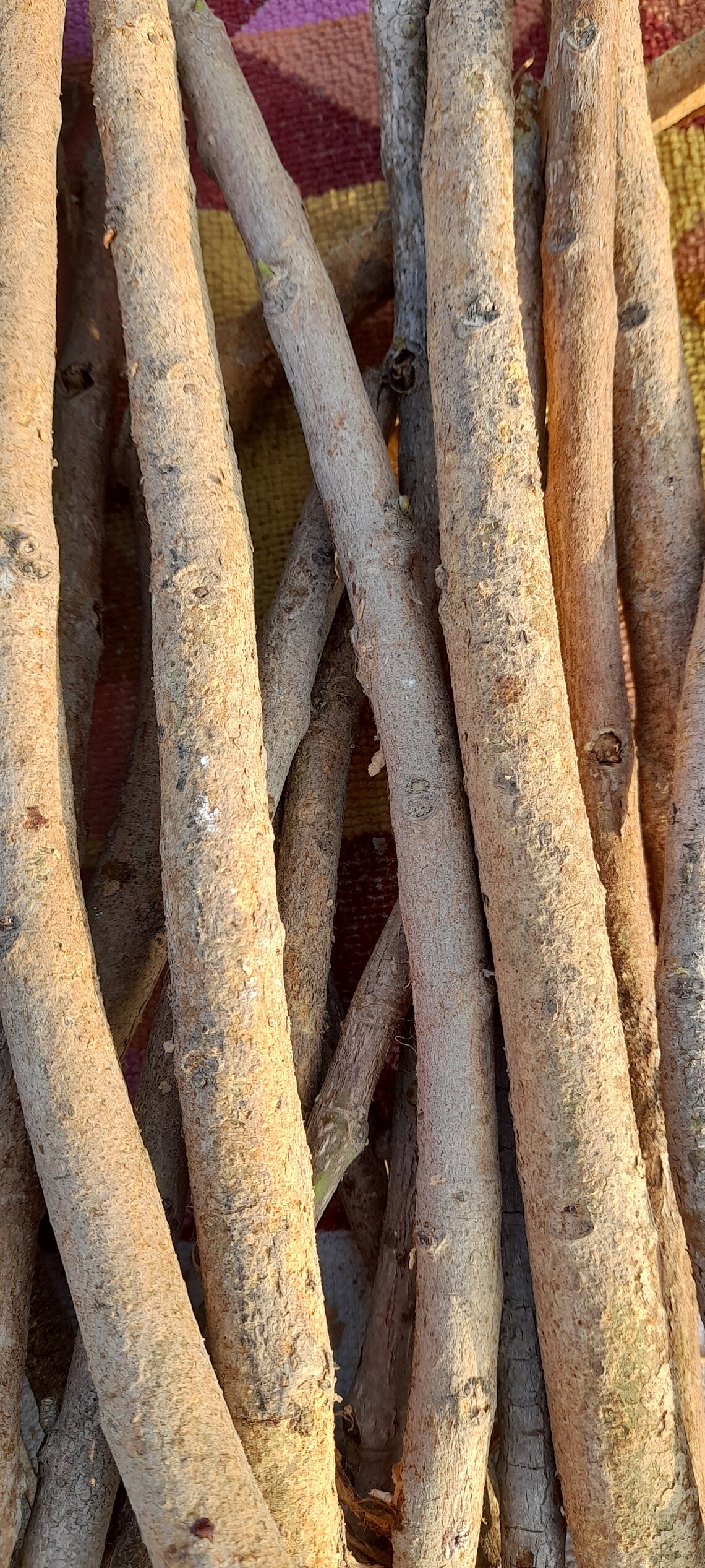 Peepal Wood Hawan Wood Ancient Rishimuni Hawan Wood 12 Inch/31 Cm ...