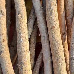 Peepal Wood Hawan Wood Ancient Rishimuni Hawan Wood 12 Inch/31 Cm ...