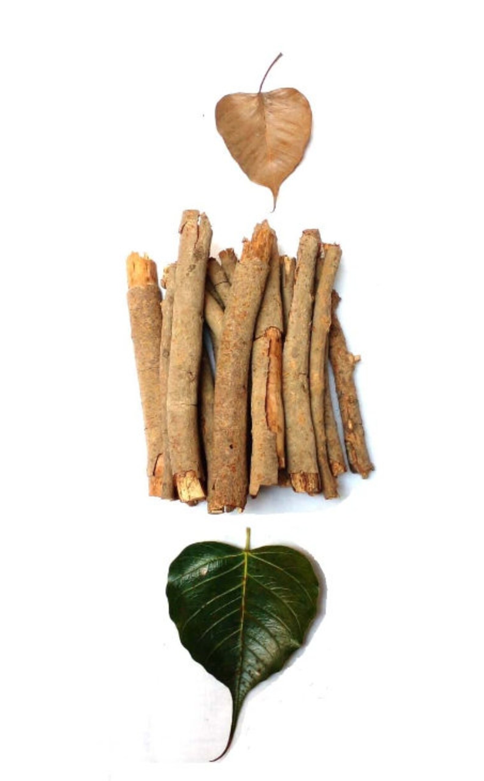 Peepal Wood Hawan Wood Ancient Rishimuni Hawan Wood 12 Inch/31 Cm ...