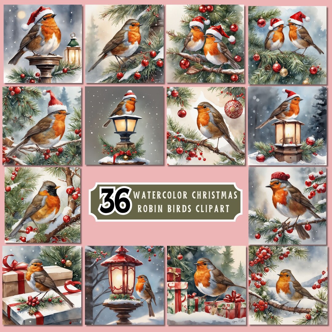 Watercolor Christmas Robins Clipart Printable,digital Download, Birds ...