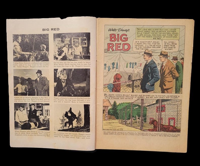 Vintage “walt Disney’s: Big Red” No.1 - Etsy