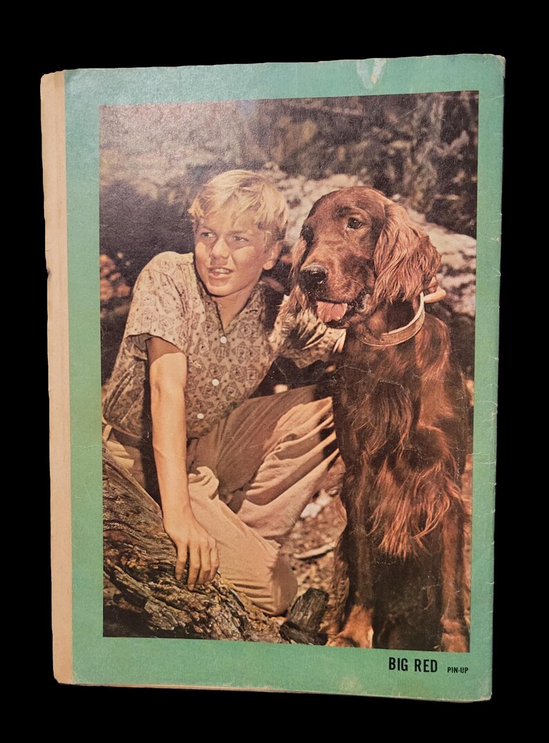 Vintage “walt Disney’s: Big Red” No.1 - Etsy
