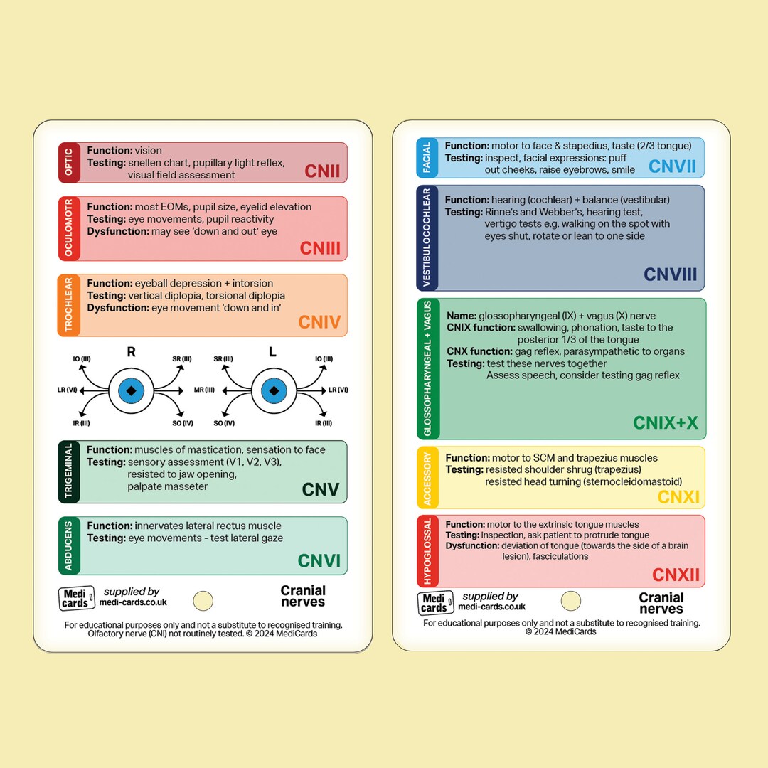 Cranial Nerves Pocket Card - Etsy UK