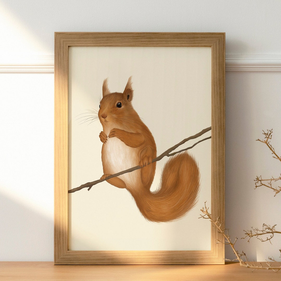 Red Squirrel Print A3 // Illustrated Wall Art Poster Nature - Etsy
