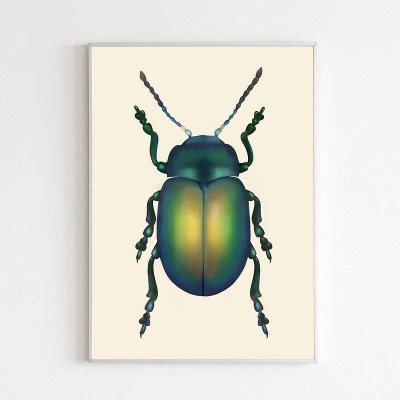 Beetle Print - Etsy
