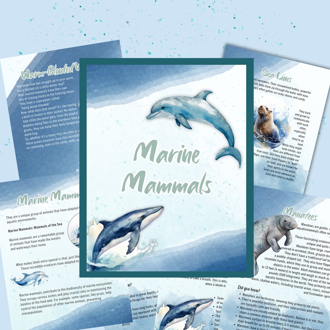 Preschool Activities Mammals Unit Study Mammals From the Ocean Marine ...