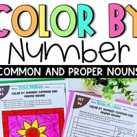 Color by Number Grammar Irregular Plural Nouns No Prep Printables - Etsy