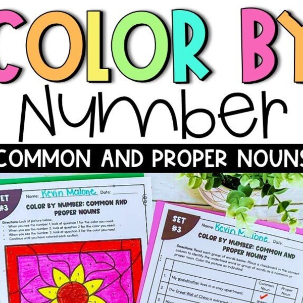 Color by Number Grammar Irregular Plural Nouns No Prep Printables - Etsy