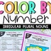Color by Number Grammar - Irregular Plural Nouns - No Prep Printables ...
