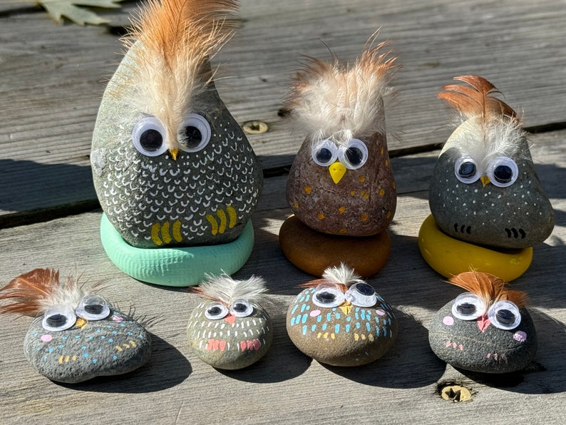 Cute Googly Eyed Rock Owl, With Feathers #3 - Etsy