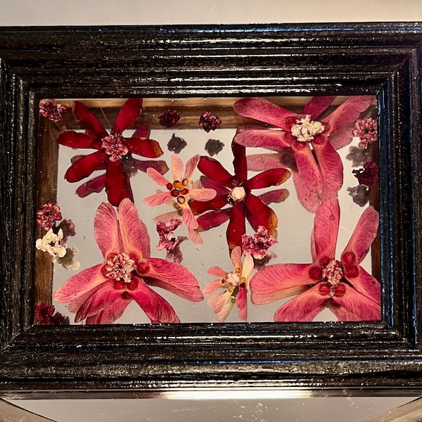 Maple Seed Pods - Etsy