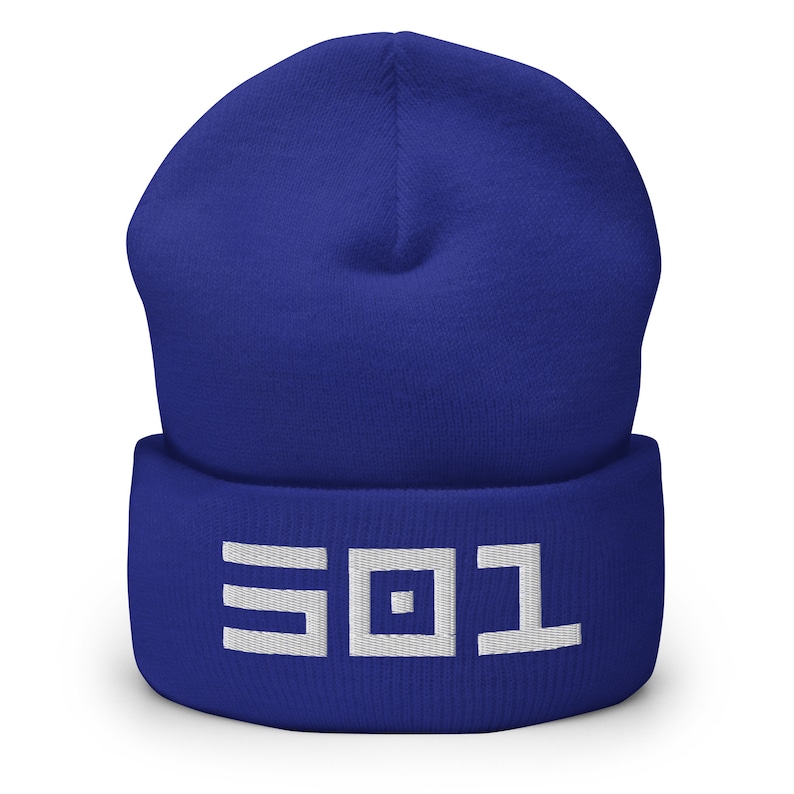 501 Area Code Embroidered Warm Cuffed Beanie, Theme Park Hat - Etsy