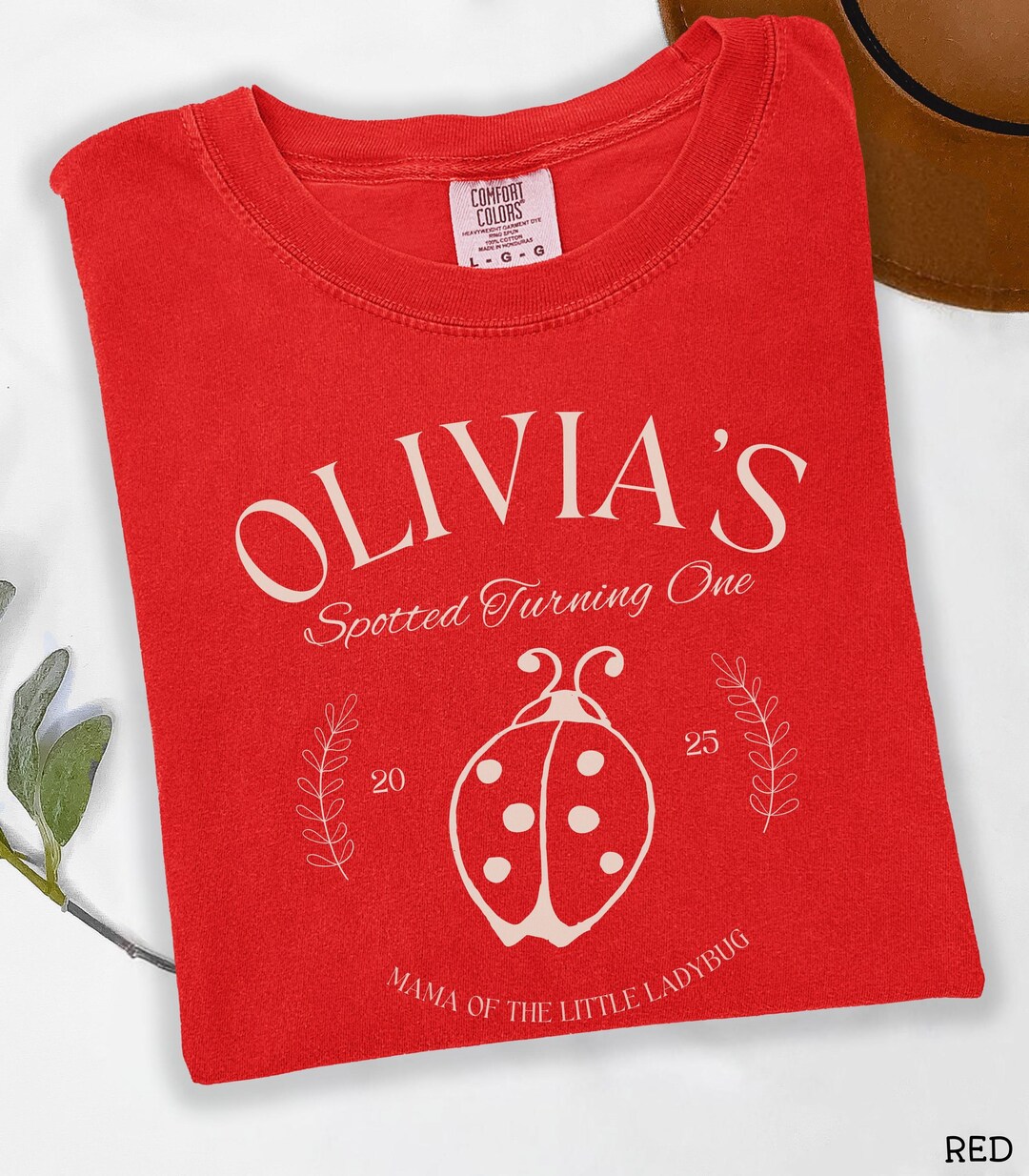 Ladybug First Birthday Shirt, Ladybug Birthday Comfort Colors® Shirt ...