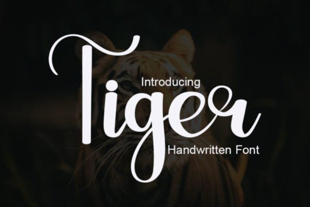 Tiger Font Fancy Font Brush Font Calligraphy Fontmodern - Etsy