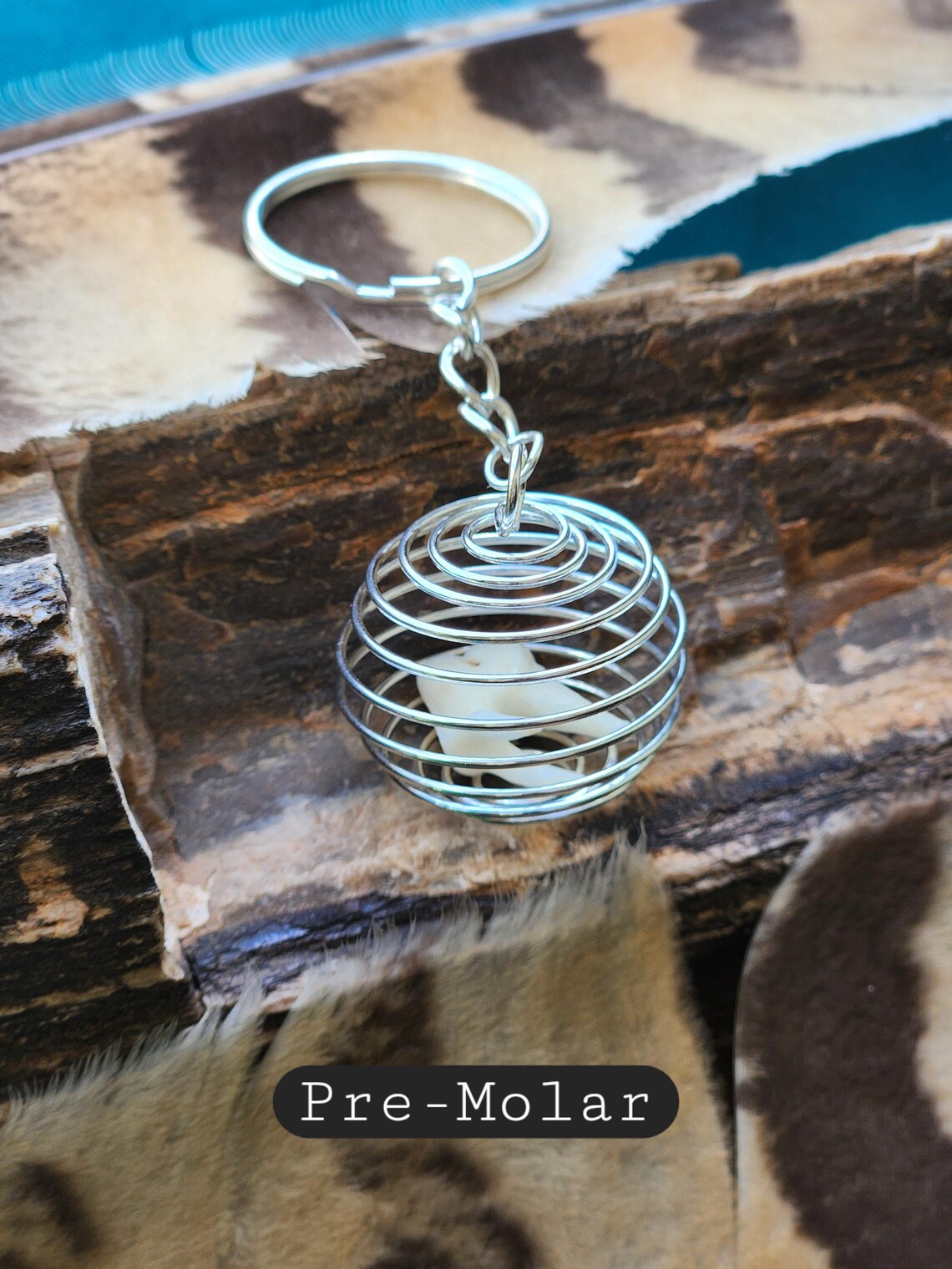 Spiral Cage Canine Tooth Ball - Real Dog Tooth - Etsy