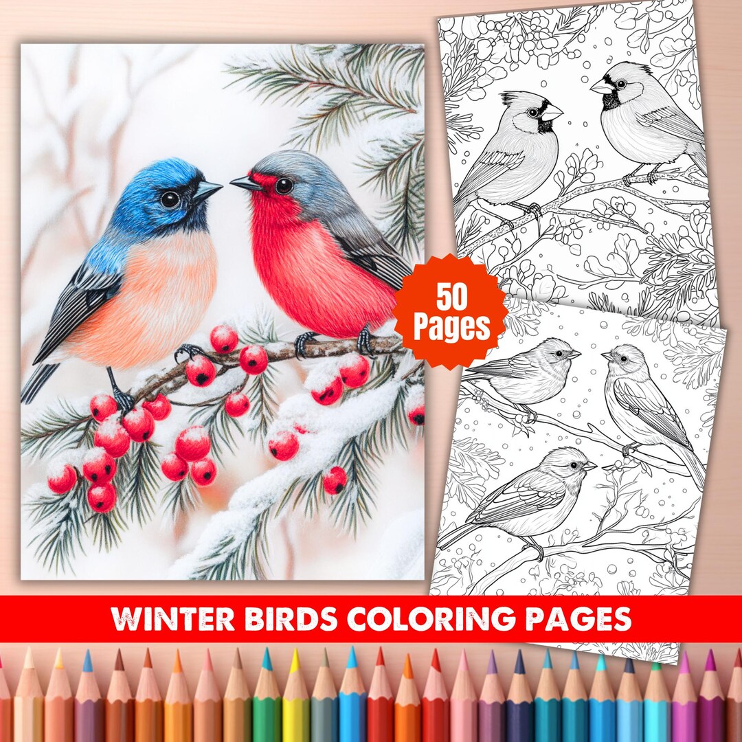 Winter Birds Coloring Book | 50 Snowy Scenes (printable PDF) - Etsy