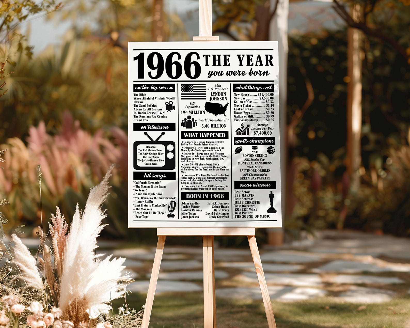 1966 the Year You Were Born Poster: 60th Birthday Fun Facts (digital ...