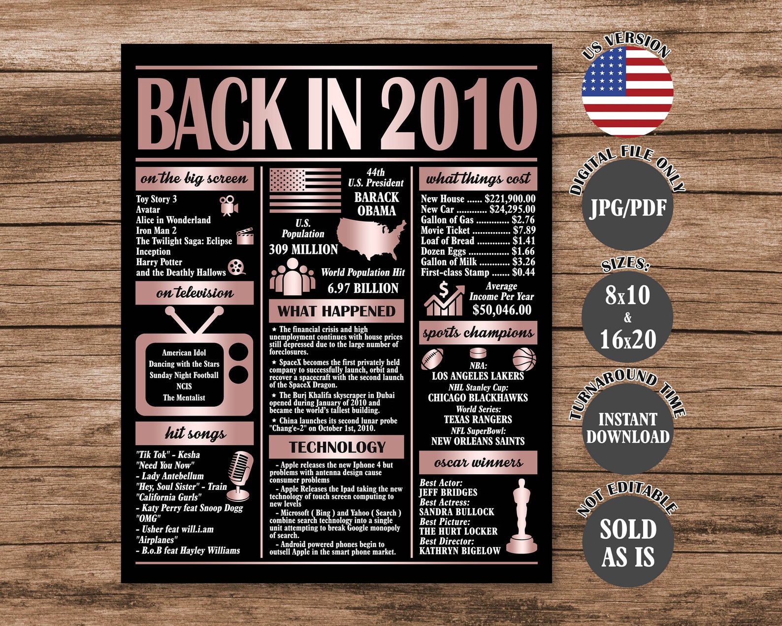 Rose Gold Back in 2010 Printable Poster, 14th Birthday, Anniversary or ...