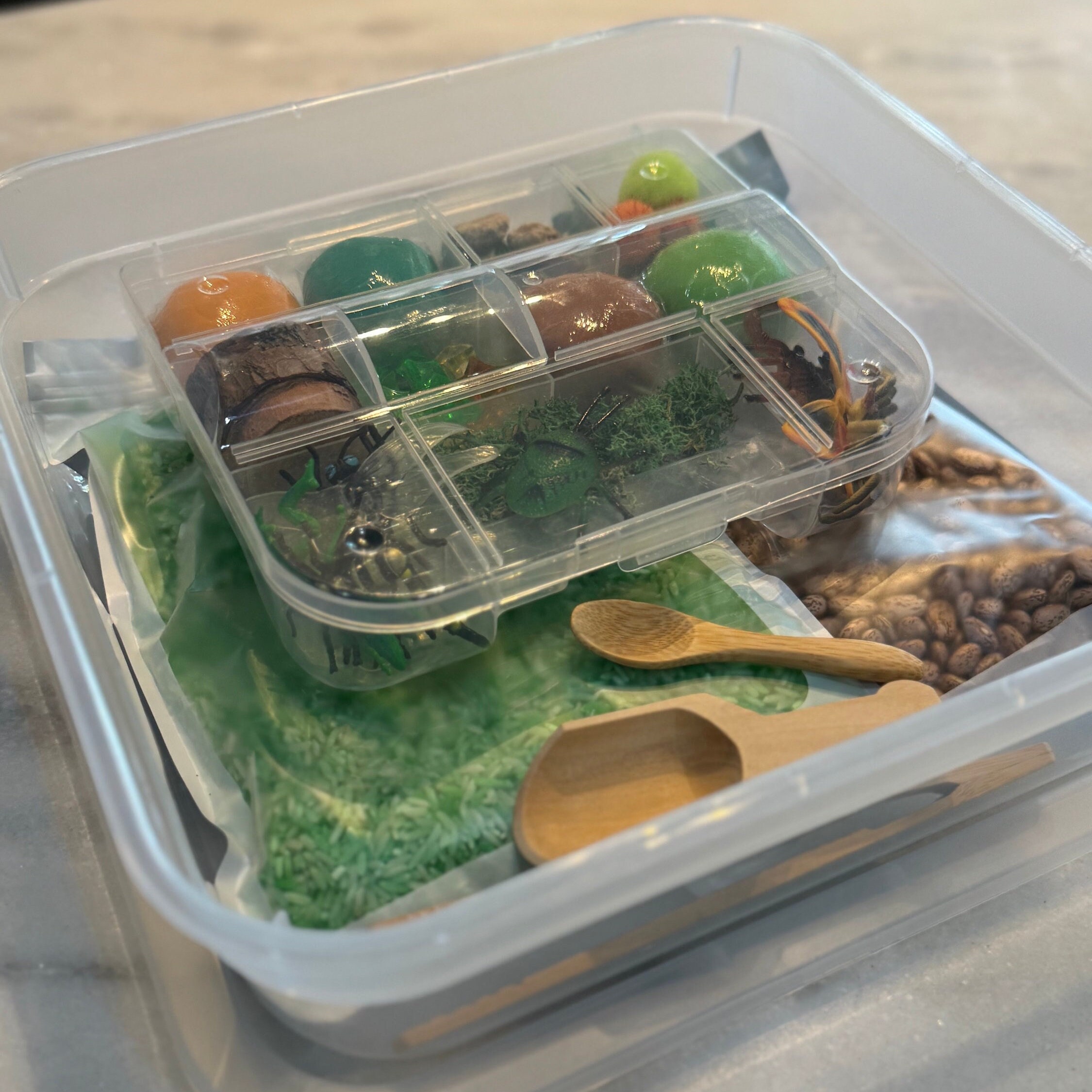 Insect Playdough Sensory Bin Bundle, Sensory Kit, Insect Kit, Playdough ...
