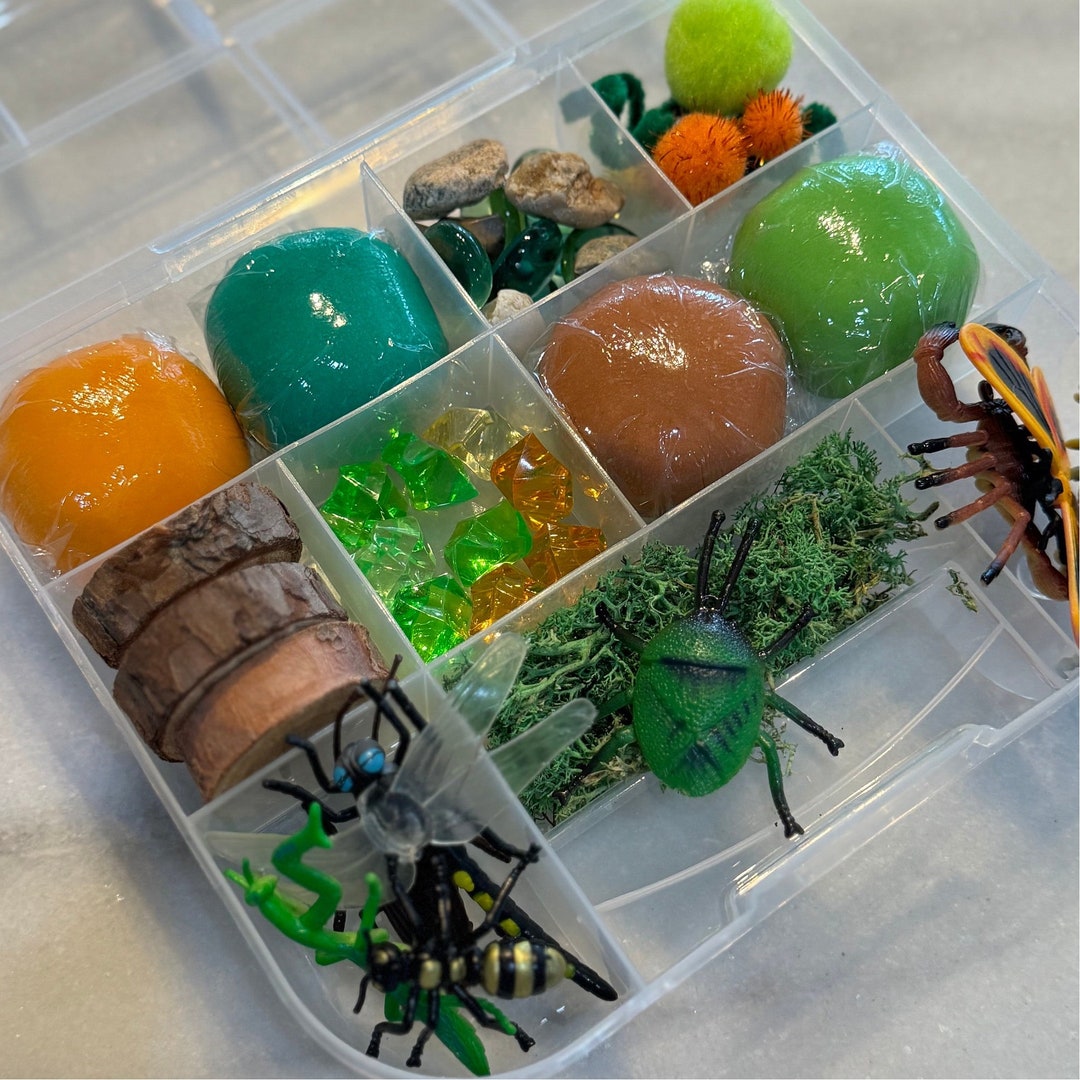 Insect Playdough Kit, Insect Themed, Playdough, Sensory Kit, Sensory ...