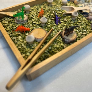 Dinosaur Sensory Bin, Sensory Kit, Sensory Play, Kids Gift - Etsy