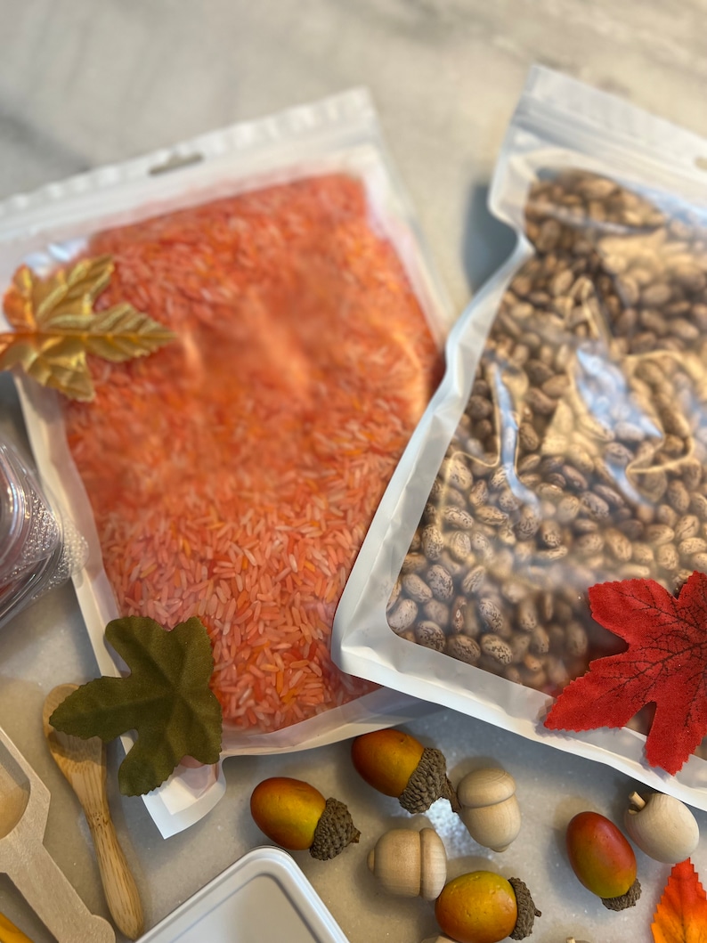 Fall Sensory Bin Sensory Kit Sensory Play Kids Gift - Etsy