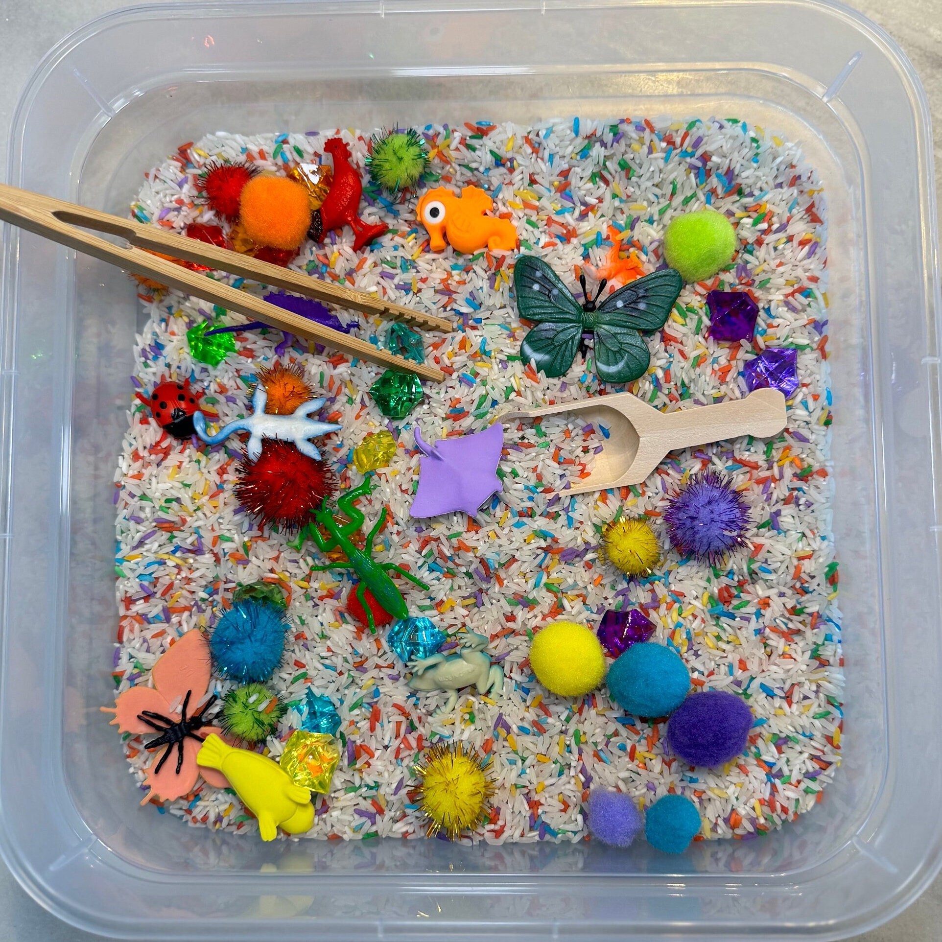 Rainbow Sensory Bin Color Sorting Sensory Kit Sensory Play - Etsy