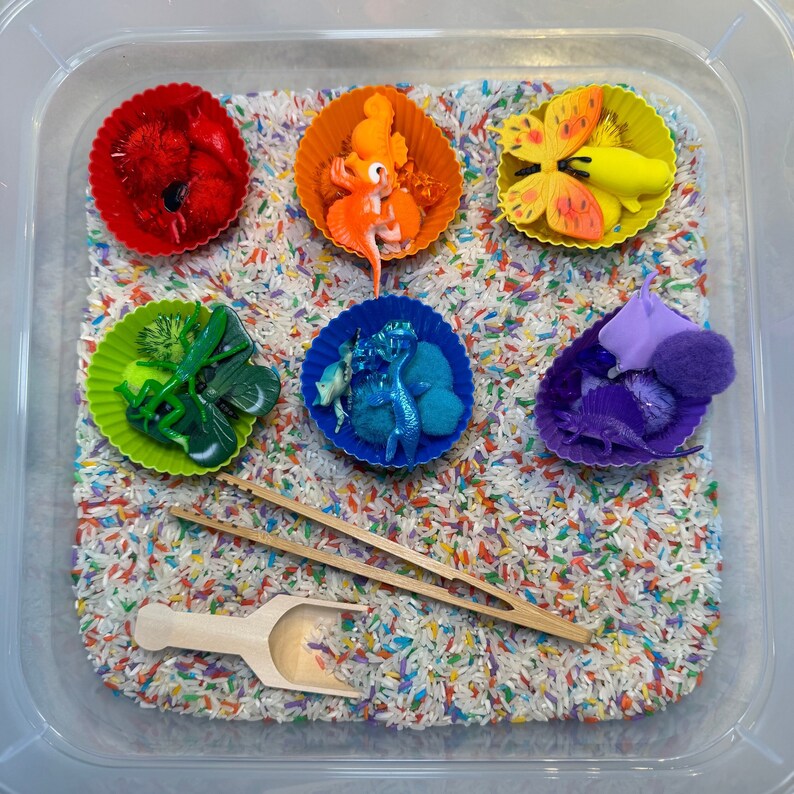 Rainbow Sensory Bin, Color Sorting Sensory Kit, Sensory Play, Kids Gift ...