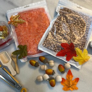 Fall Sensory Bin Sensory Kit Sensory Play Kids Gift - Etsy