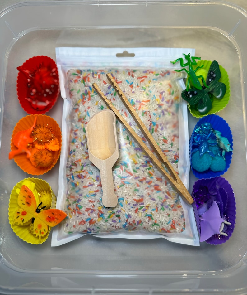 Rainbow Sensory Bin Color Sorting Sensory Kit Sensory Play - Etsy