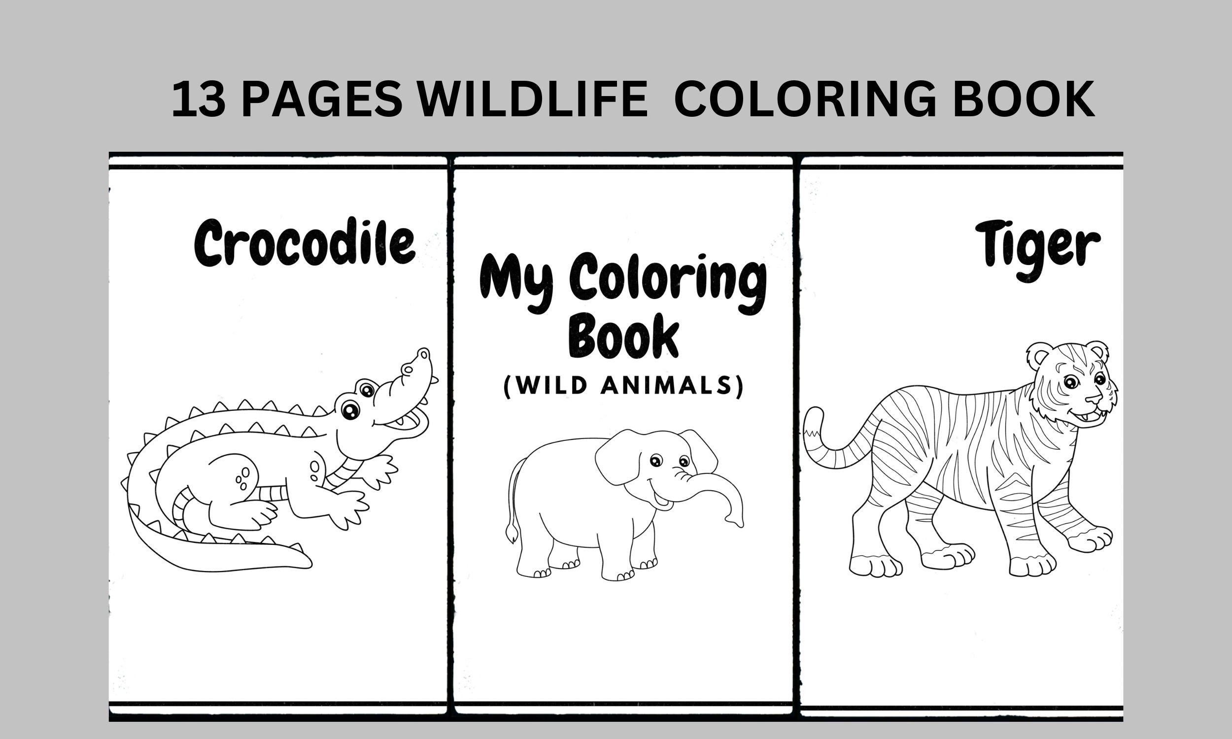 WILDLIFE COLORING BOOK - Etsy