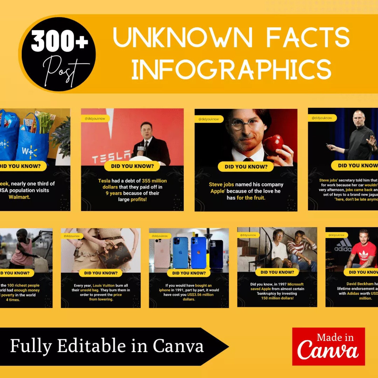 Social Media Canva Template, Unknown Facts Infographic Template ...