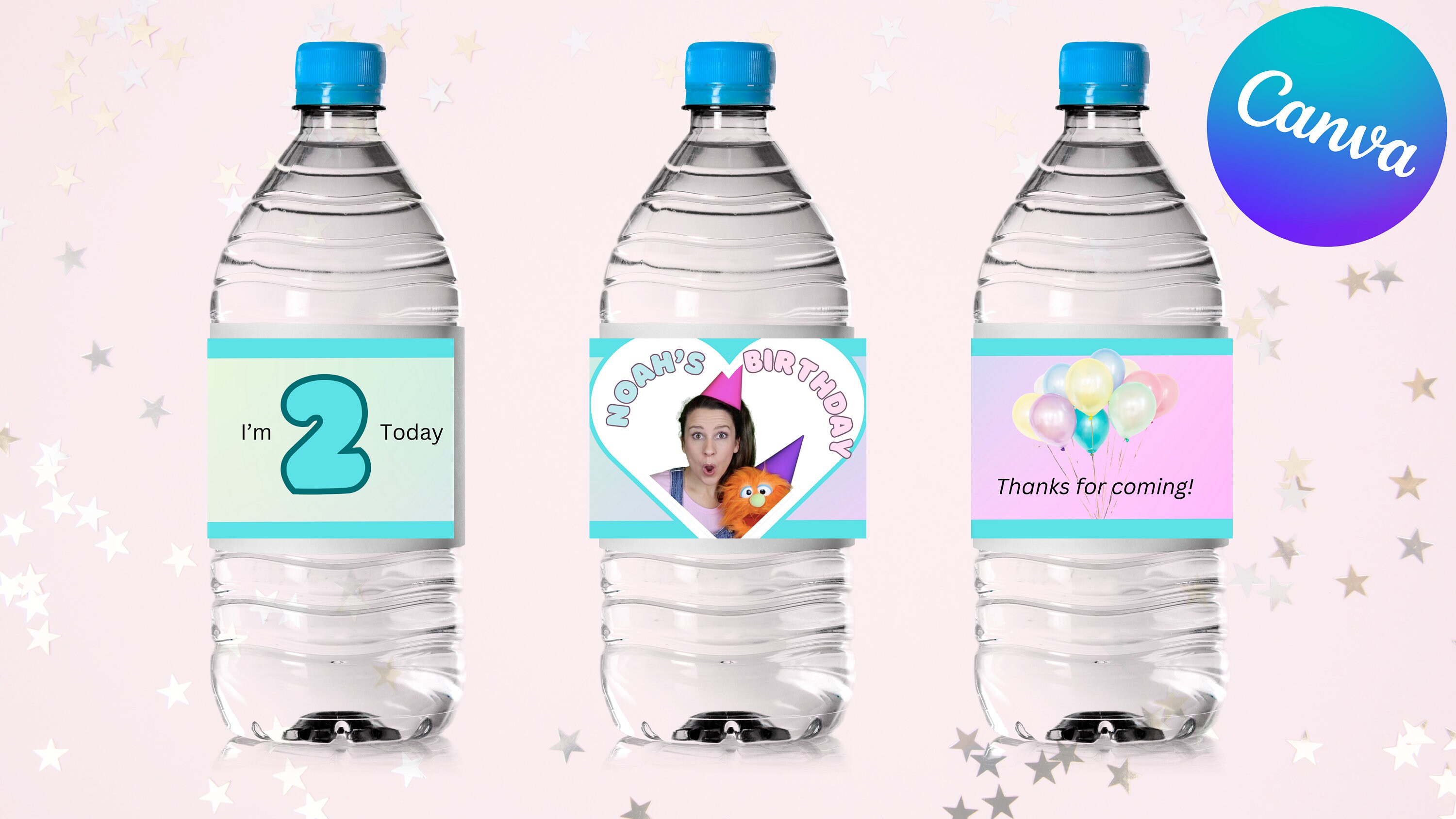 Ms Rachel Water Bottle Labels, Ms Rachel Birthday Labels, Water Bottle ...