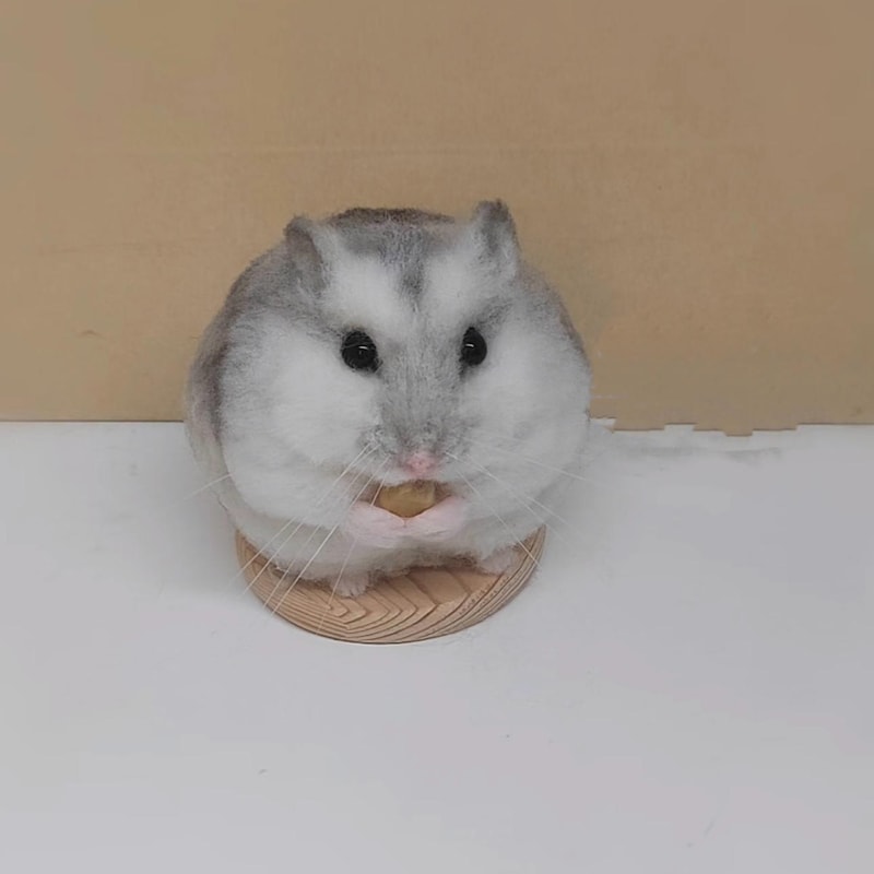 Hamster Felted - Etsy