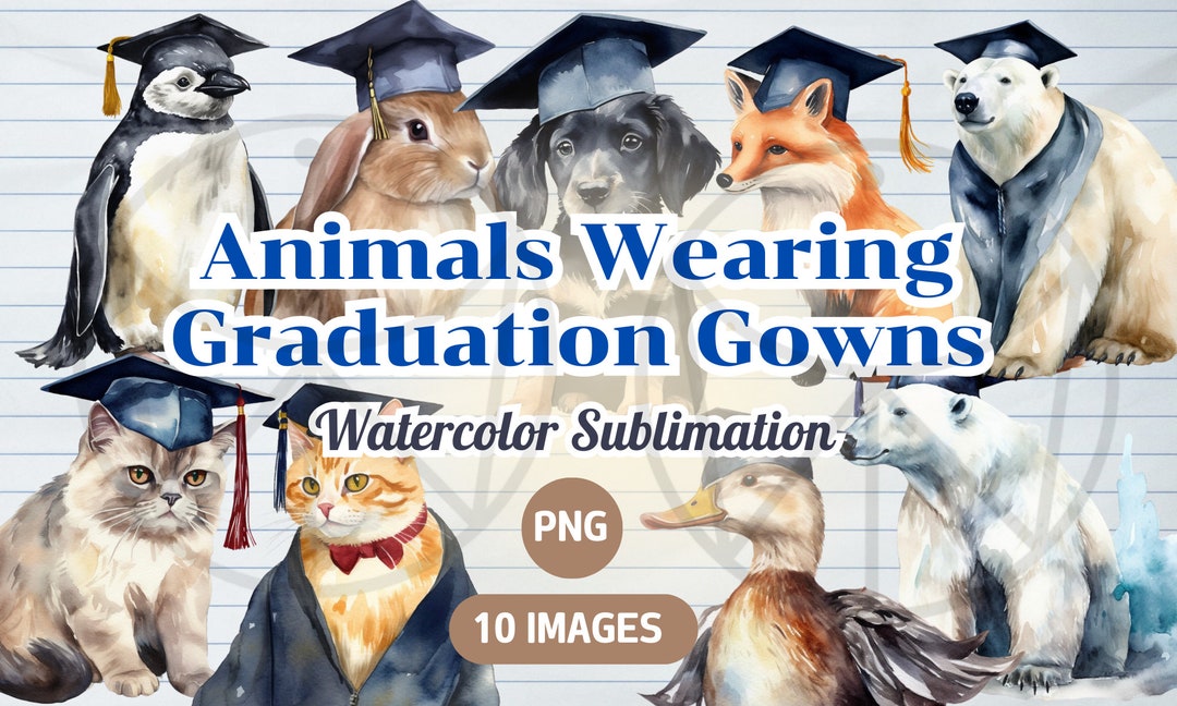 Animals Wearing Graduation Gowns, Graduation Animals, Animals ...
