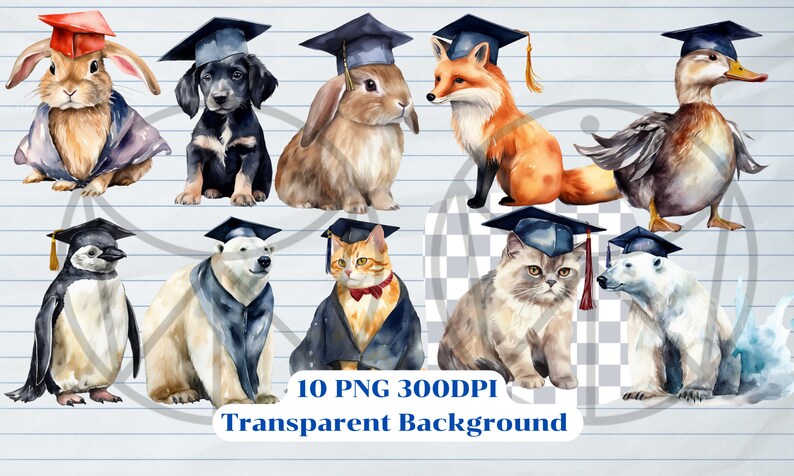 Animals Wearing Graduation Gowns, Graduation Animals, Animals ...