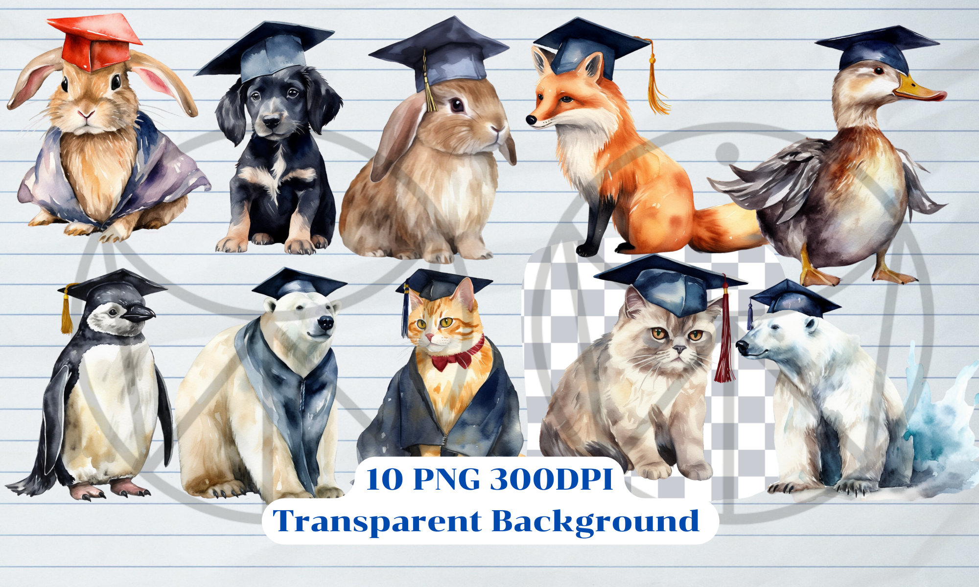 Animals Wearing Graduation Gowns, Graduation Animals, Animals ...