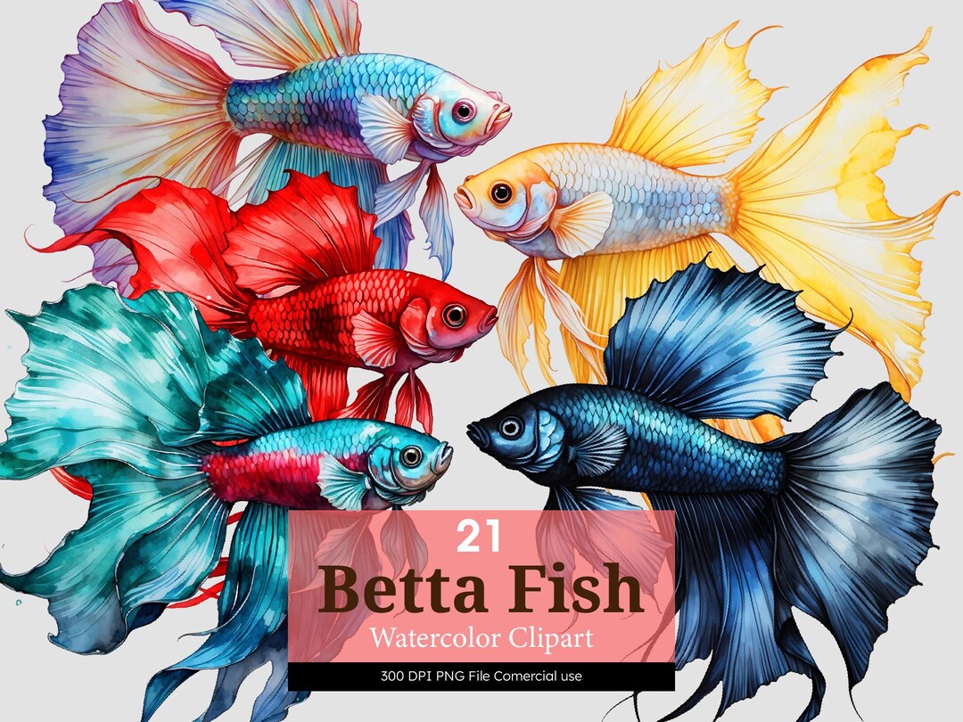 Watercolor Betta Fish, Colorful, Digital Clipart Instant Download ...