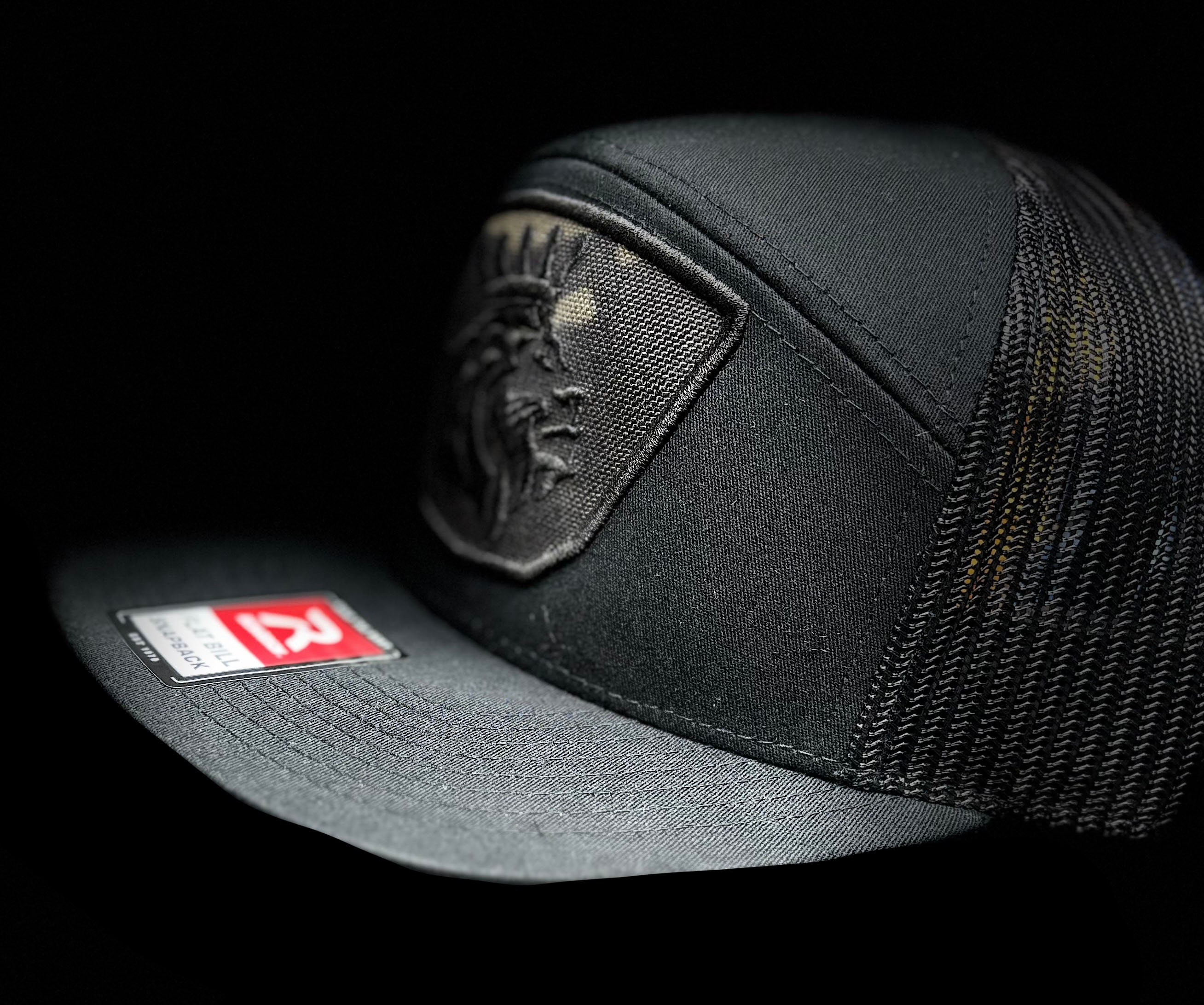 Lion of Judah Crowned King 3D Cap black on Black - Etsy