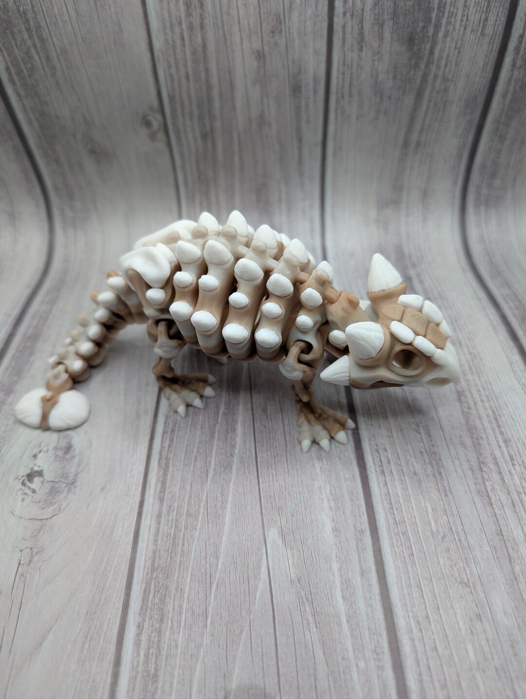 Flexi Skeleton Ankylosaurus - Etsy