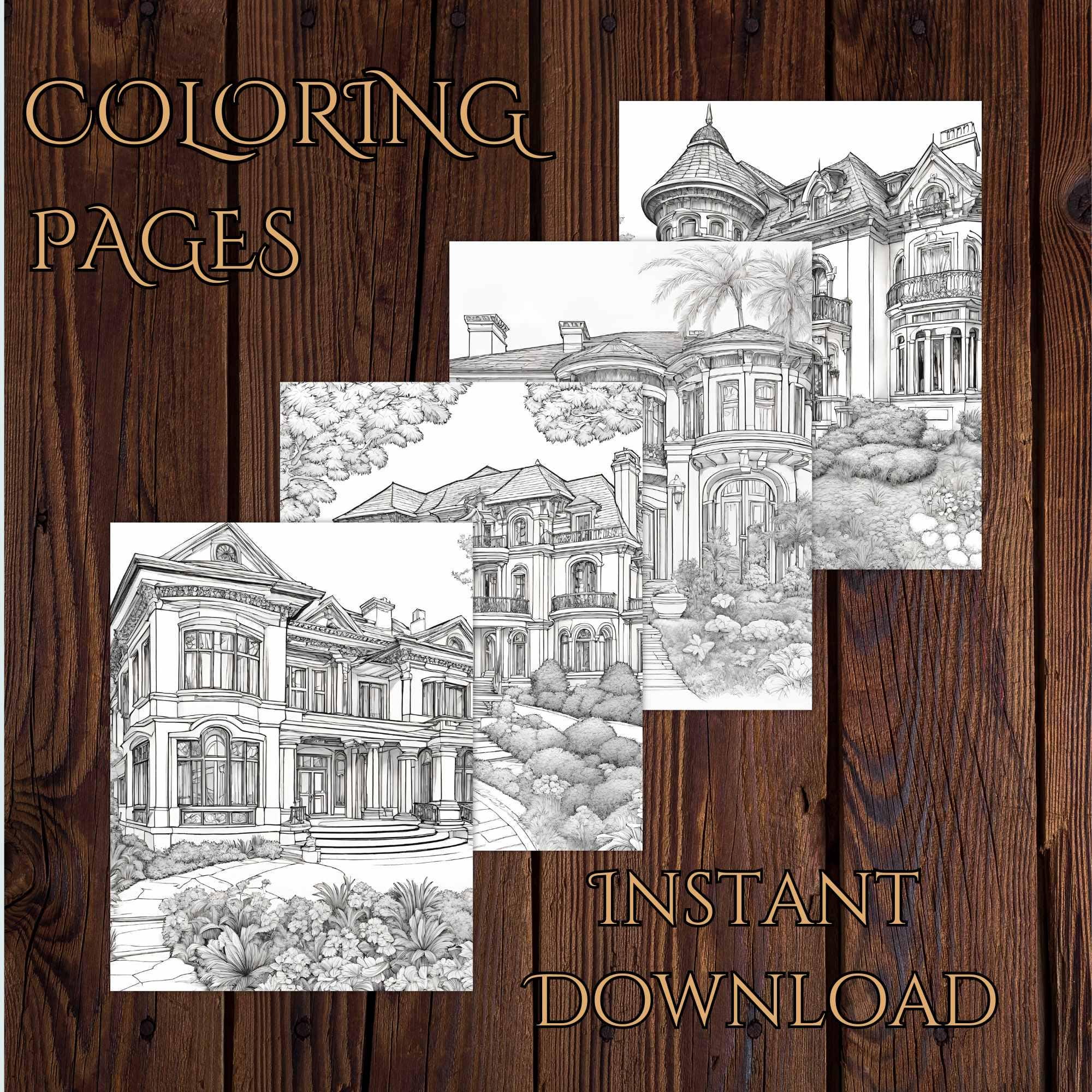 12 Lavish Luxury Home Coloring Pages, Exquisite Estates, Instant ...